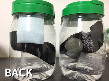 OK Anti-mold Ecochip | Taiwan OK Bio-technology Co., Ltd.